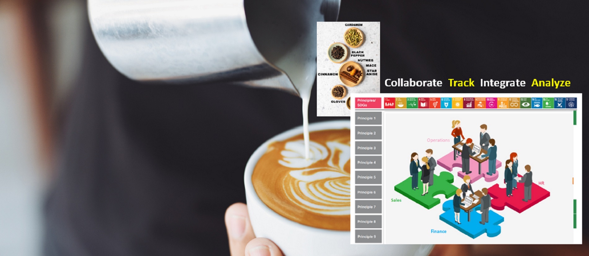 Best BRSR Software - BRSR