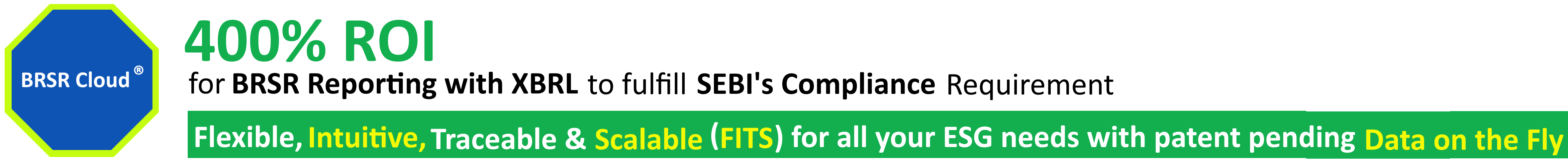 Best BRSR Software - BRSR